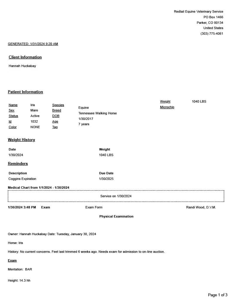 Iris | Tobiano Tennessee Walker | Thehorsebay.com