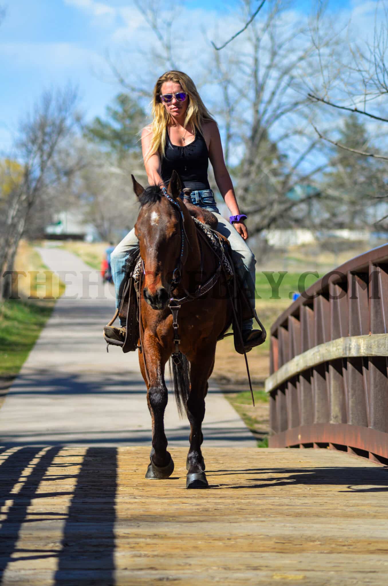 HP COLONEL JACKSON "Roman" | Thehorsebay.com