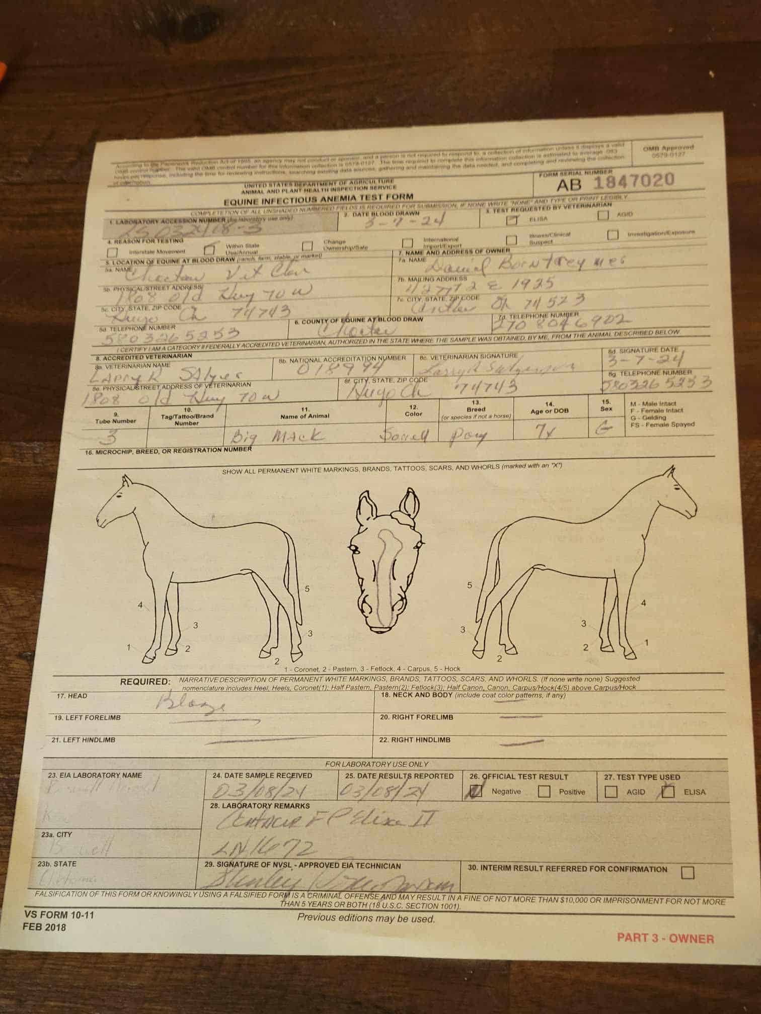 Big Mack | Thehorsebay.com