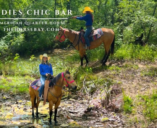 Adam Jokisch Archives - Thehorsebay.com