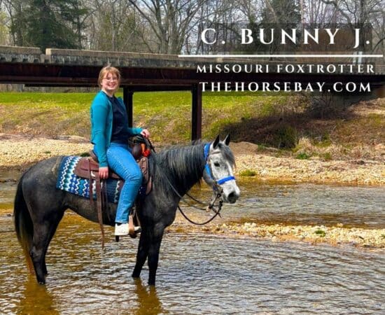 Adam Jokisch Archives - Thehorsebay.com