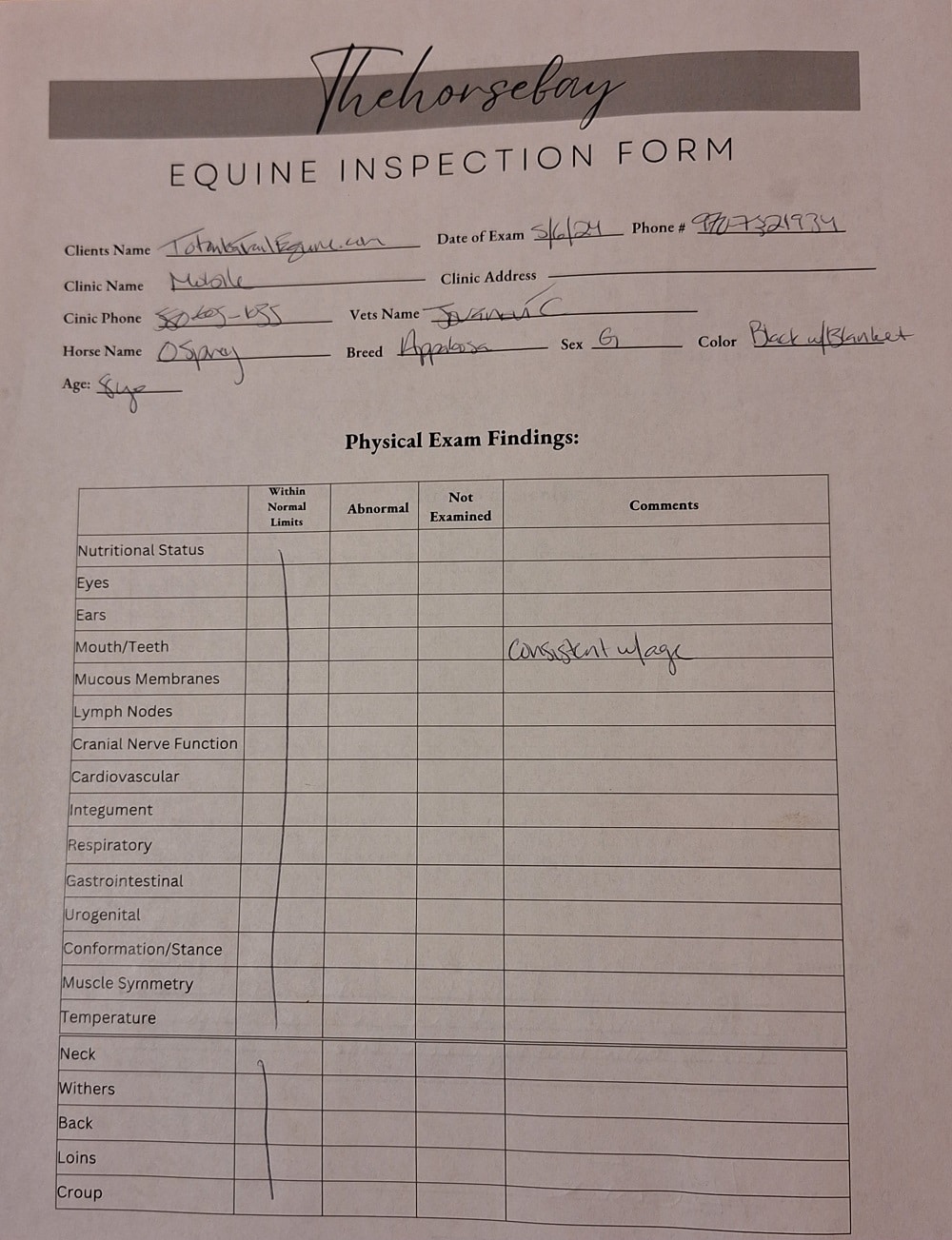 Osprey | Thehorsebay.com