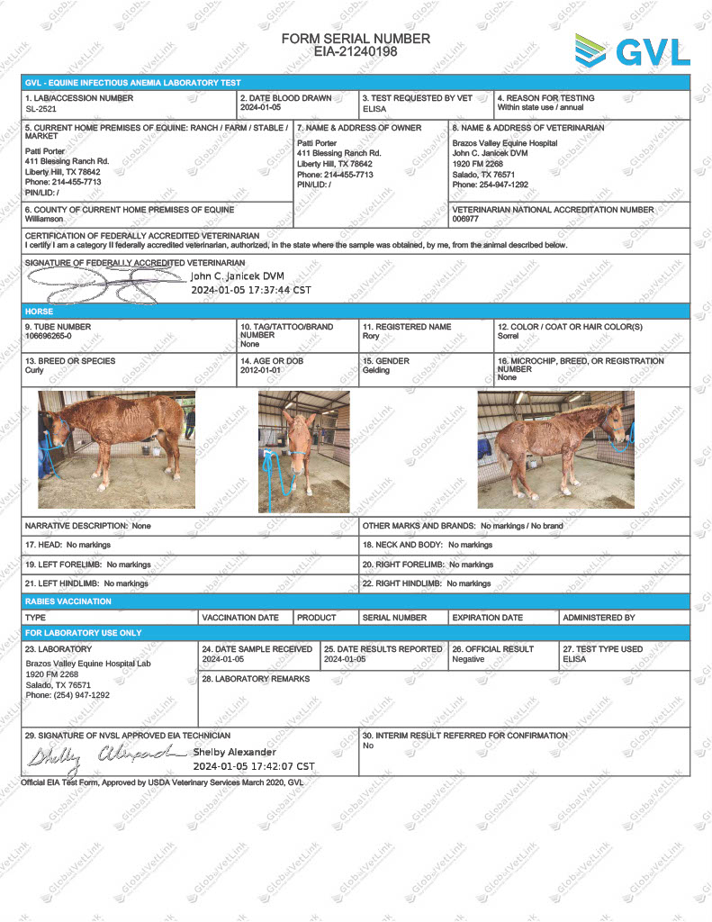 CC Cyclone "Rory" | Thehorsebay.com