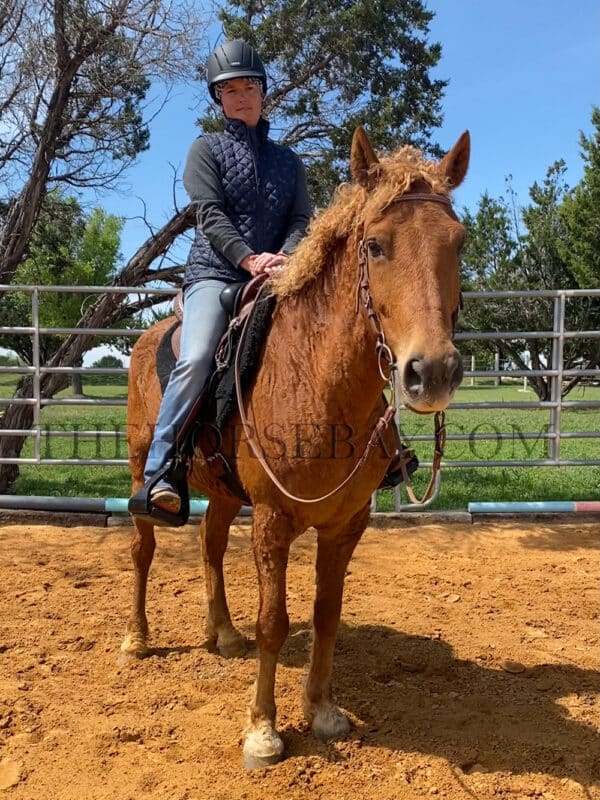 CC Cyclone "Rory" | Thehorsebay.com