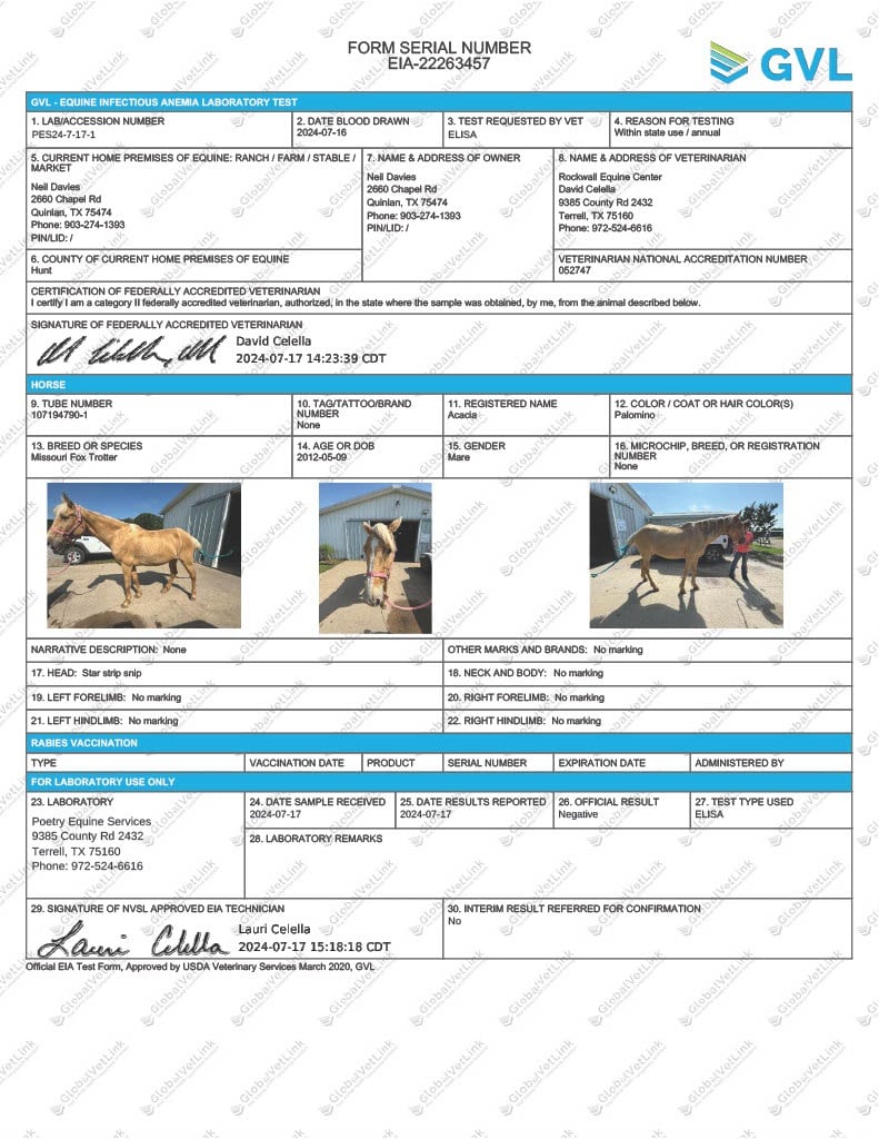 Acacia | Thehorsebay.com