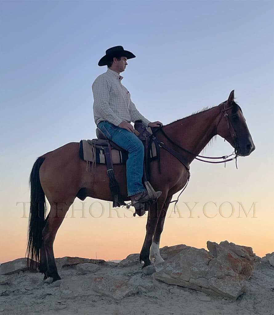 Dude | American Saddlebred Gaited Gelding | Thehorsebay.com