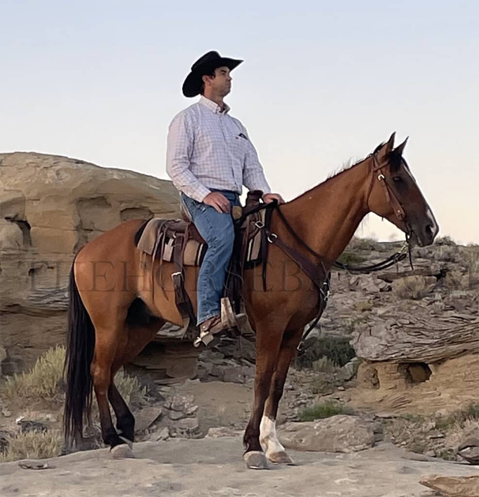 Dude | American Saddlebred Gaited Gelding | Thehorsebay.com